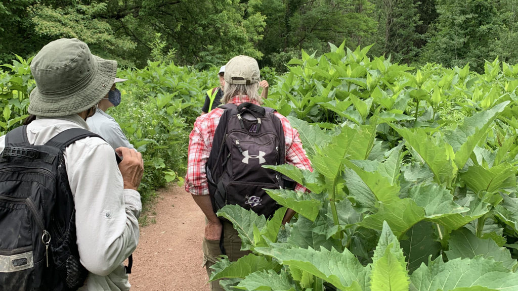 Become a Steward – Toronto Nature Stewards
