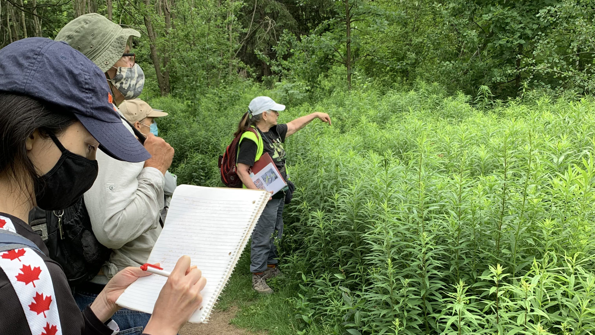 Toronto Nature Stewards – Stewardship on Public Land