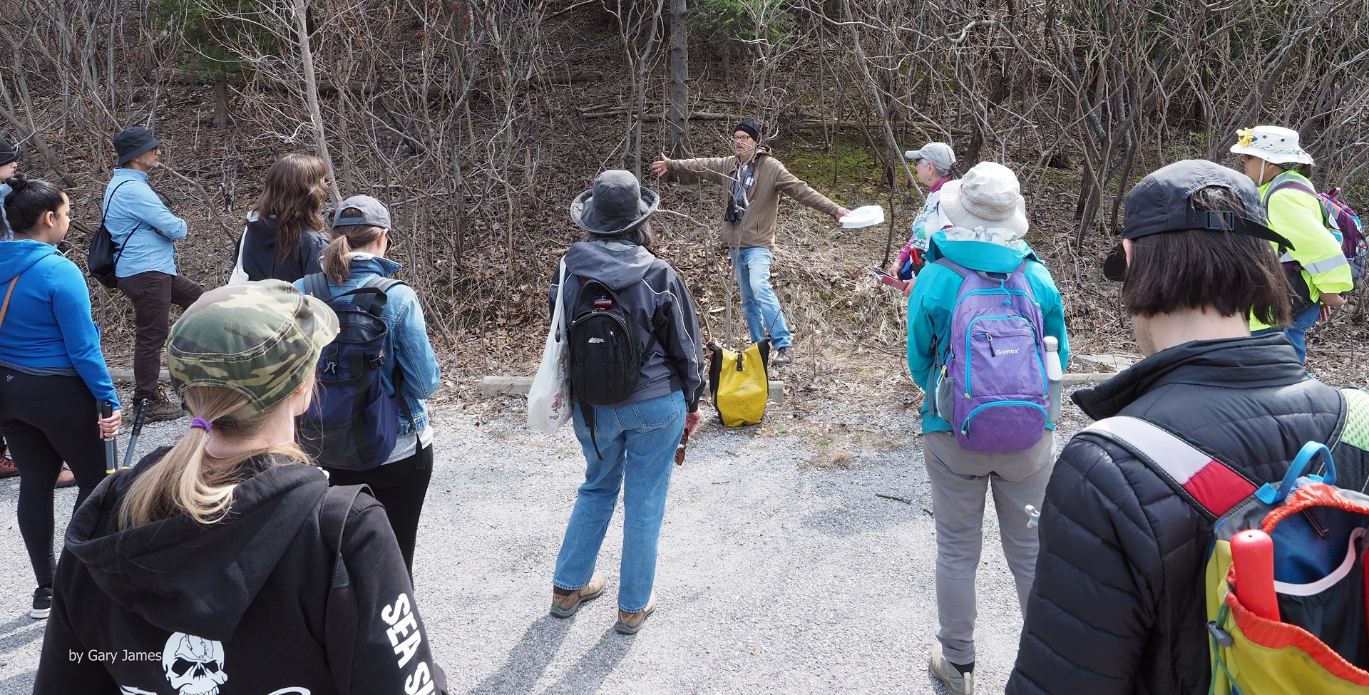 How we Steward our Sites – Toronto Nature Stewards