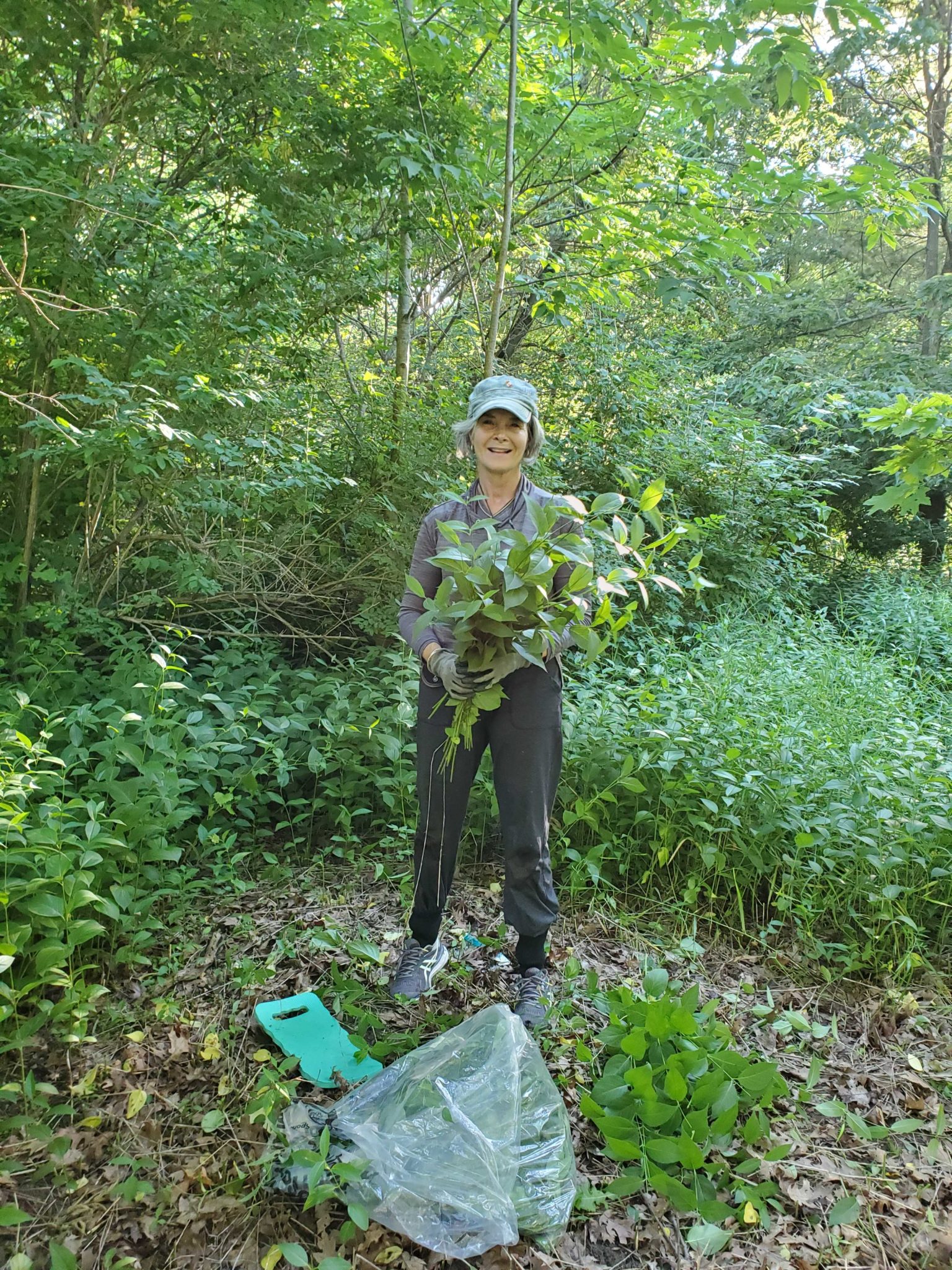 News – Toronto Nature Stewards