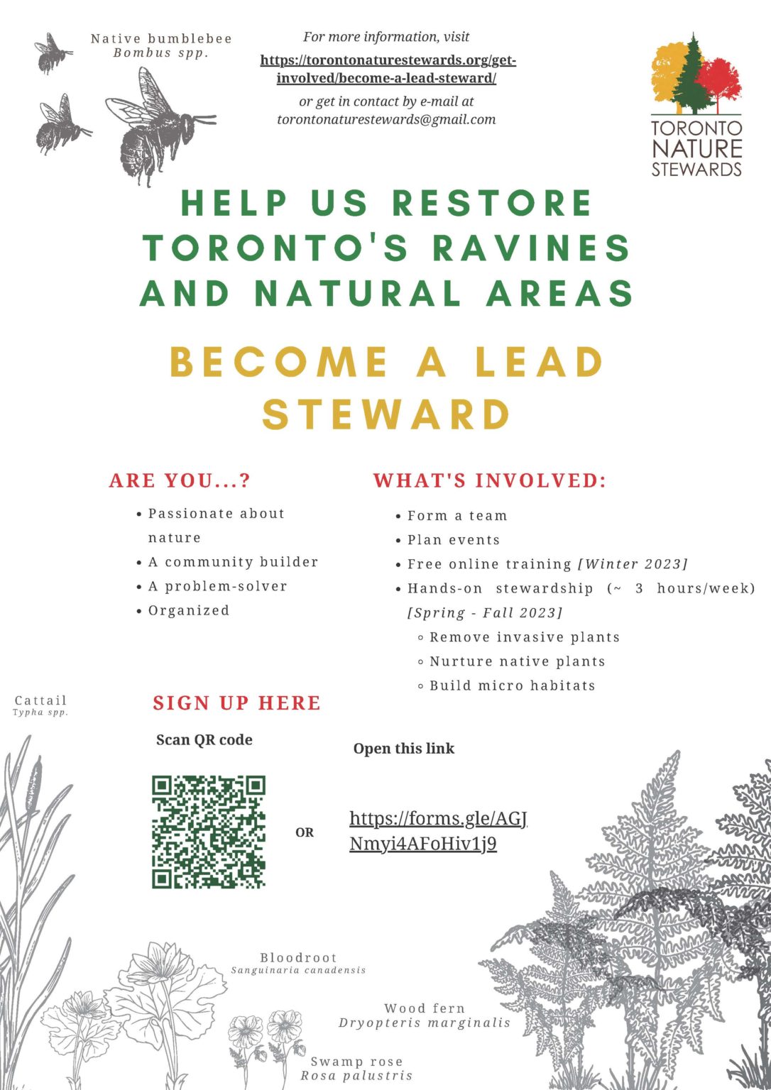 News – Toronto Nature Stewards