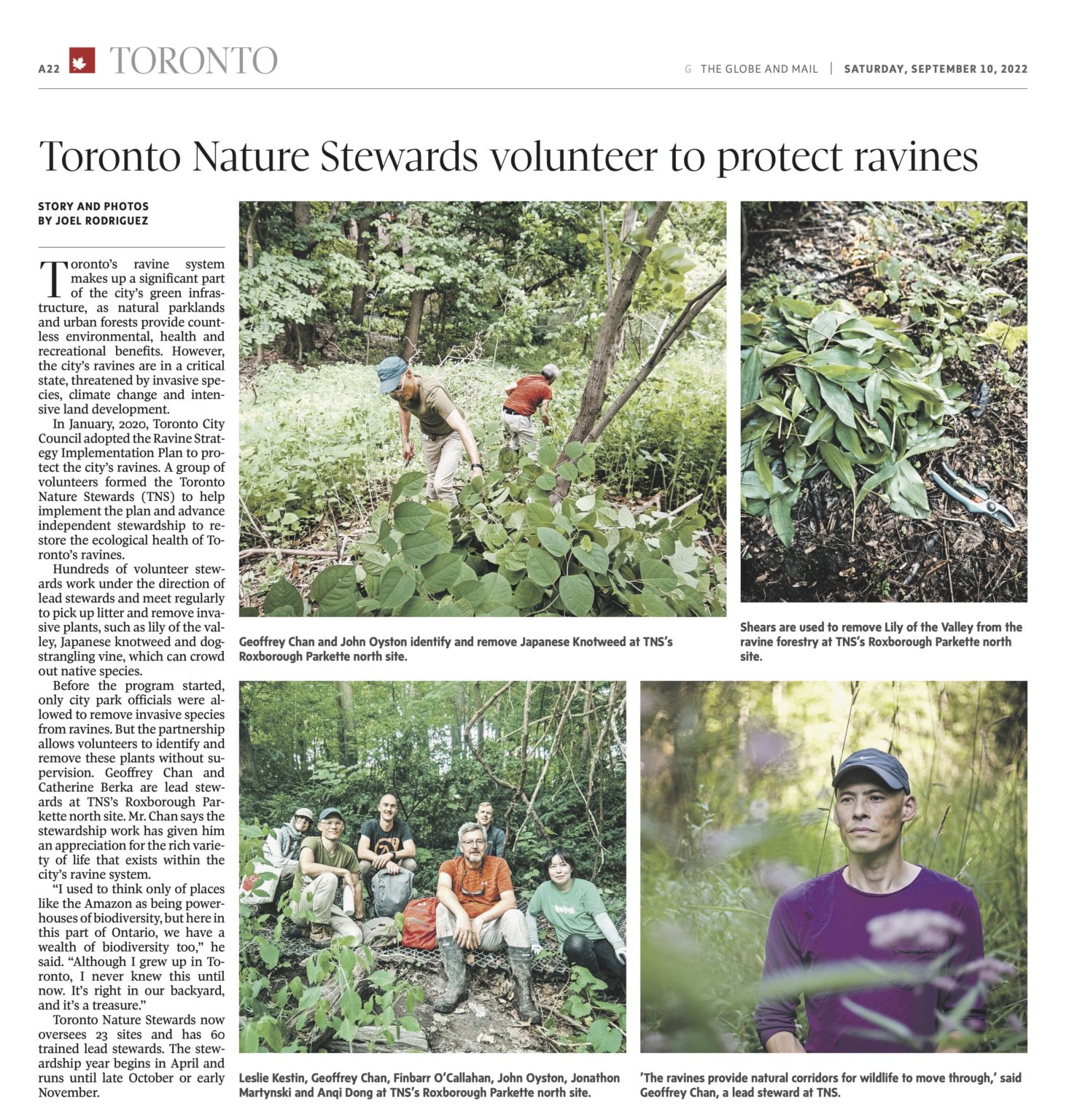 News – Toronto Nature Stewards