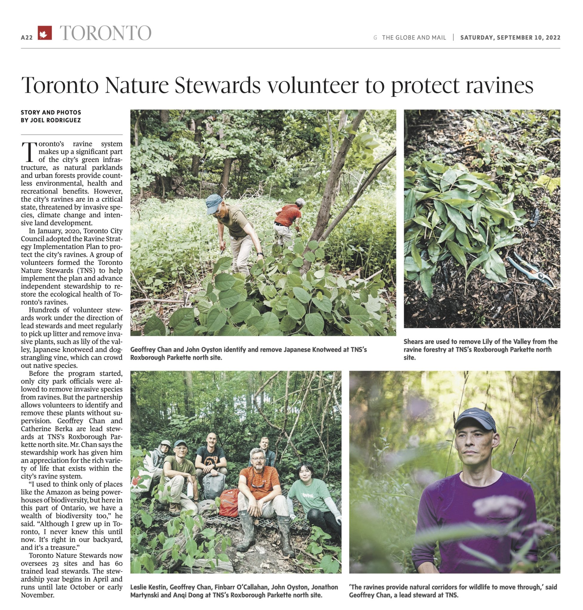 News – Toronto Nature Stewards