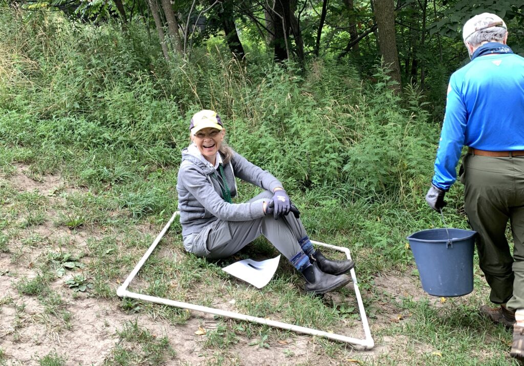 Birkdale Ravine – Toronto Nature Stewards
