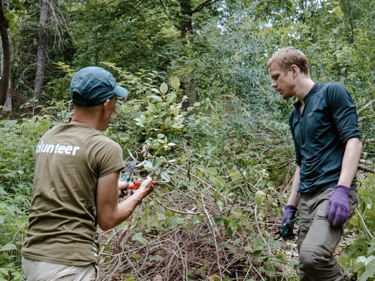 Become a Steward – Toronto Nature Stewards